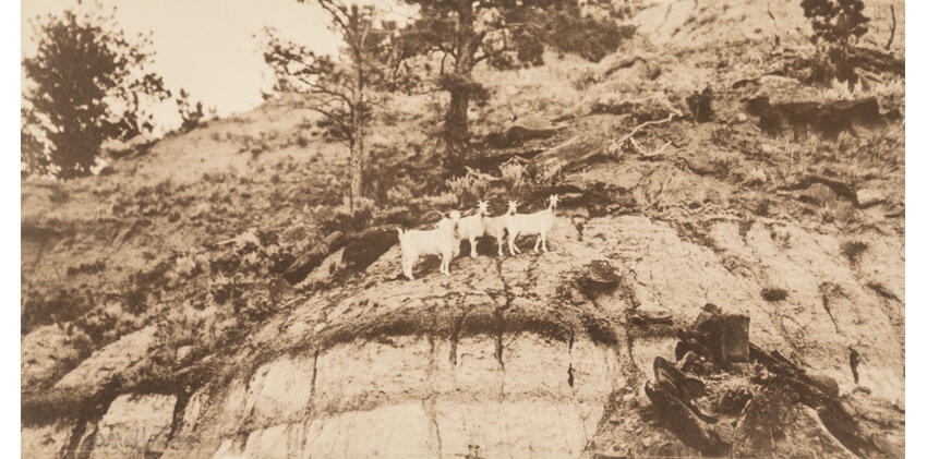 Laton Alton Huffman | Group of Ranch Photographs | MutualArt