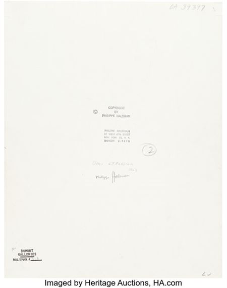 Philippe Halsman |, Dalí Explosion (1953) | MutualArt