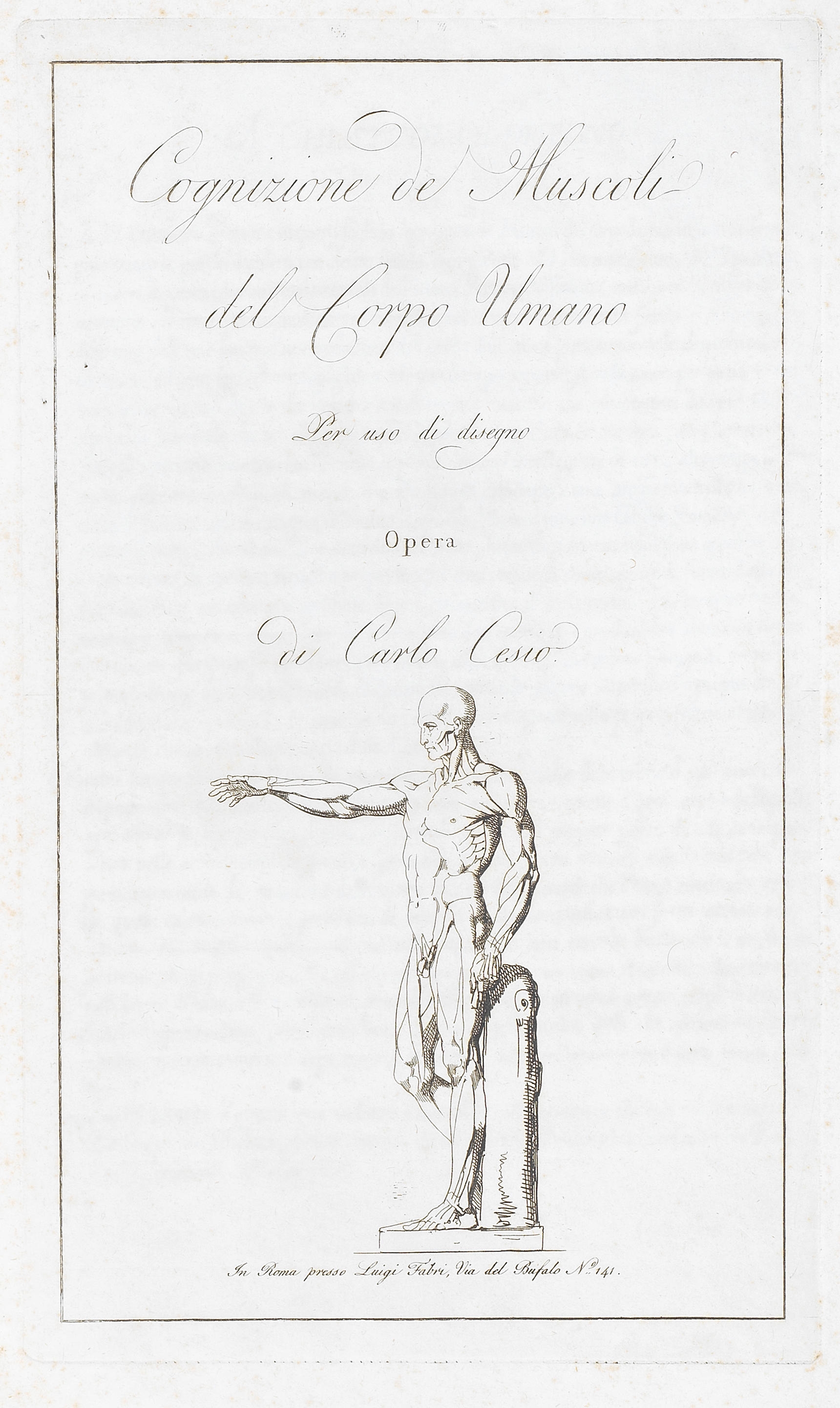 Carlo Cesi | Cognizione de muscoli del corpe umano per use di disegno ...