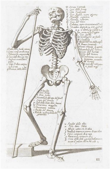 Carlo Cesi | Cognizione de muscoli del corpe umano per use di disegno ...