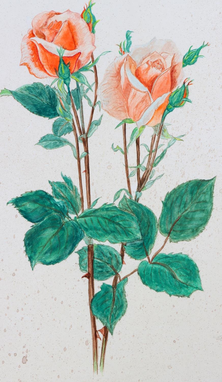 Hitlers Bad Paintings