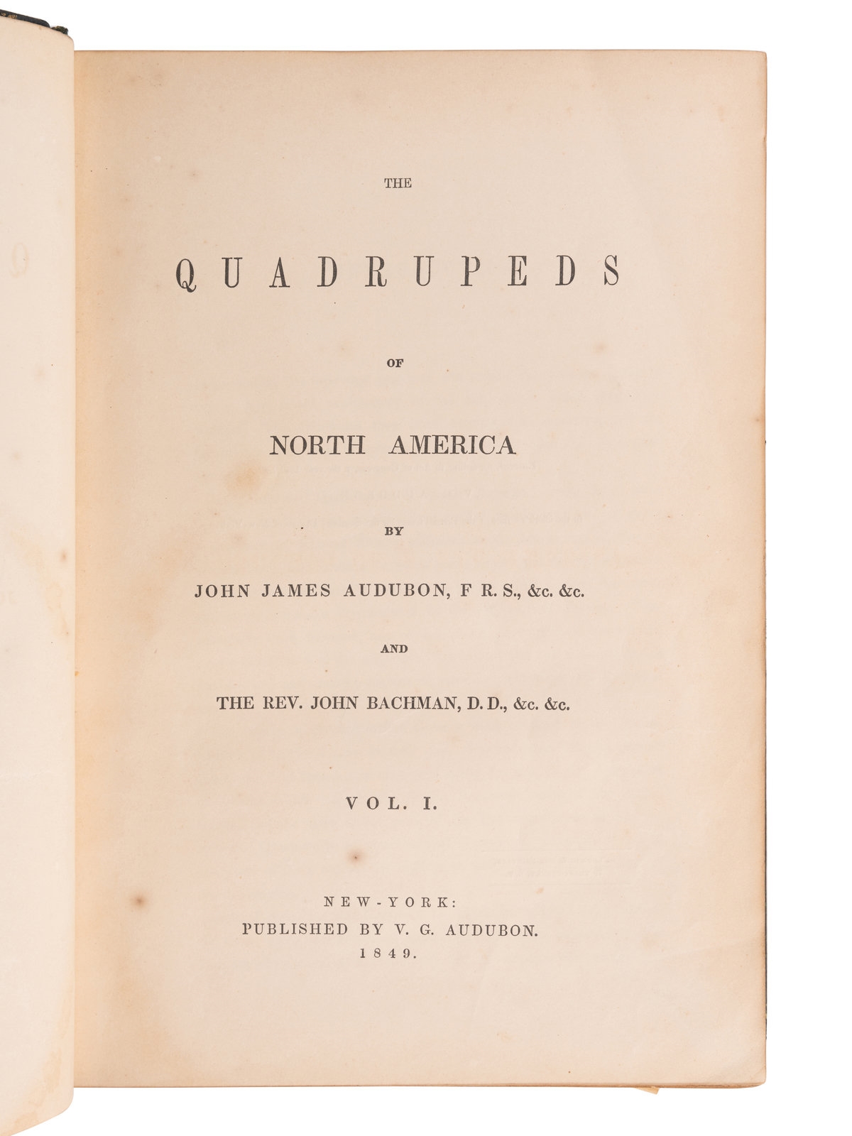 John James Audubon | AUDUBON | MutualArt