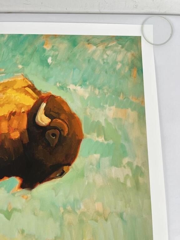 Jeff Weir | Jeff Weir Idaho 'Send It' Buffalo Print | MutualArt