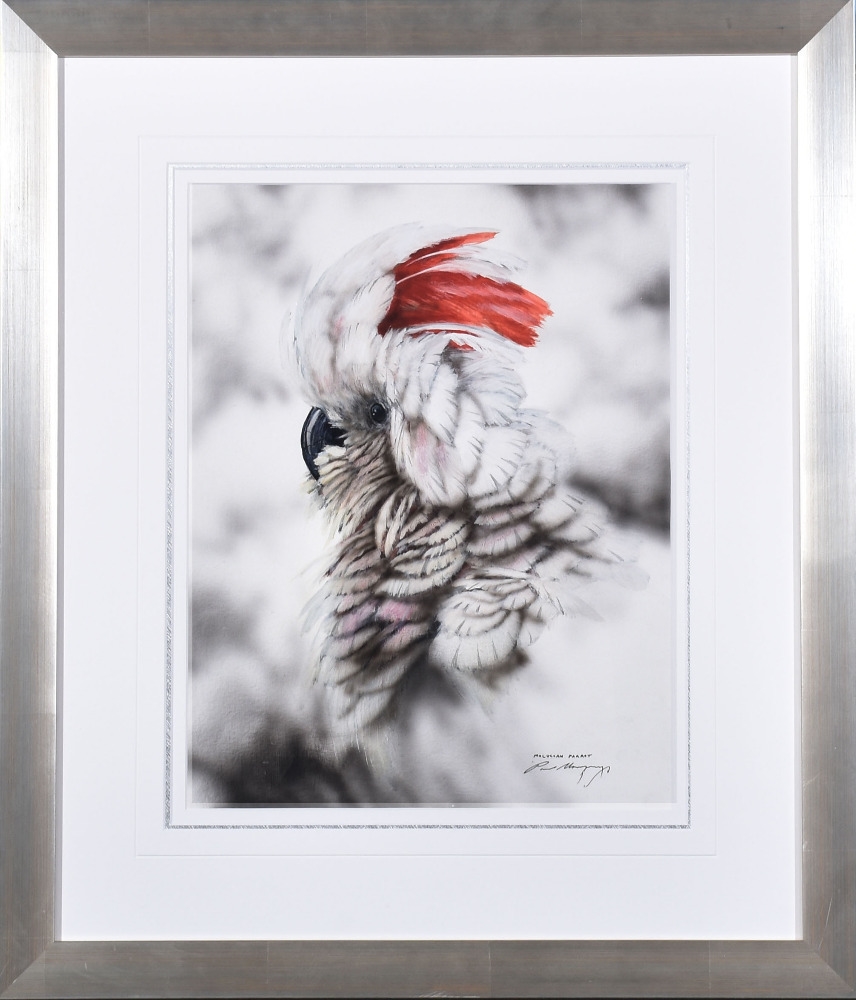 Paul Margocsy | Moluccan Parrot | MutualArt