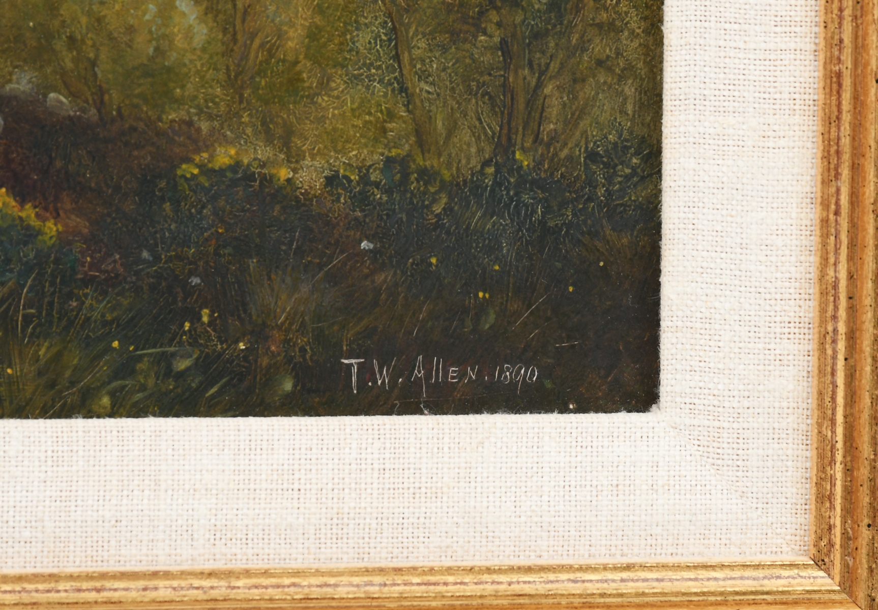 T. Allen | LANDSCAPE PAINTING | MutualArt