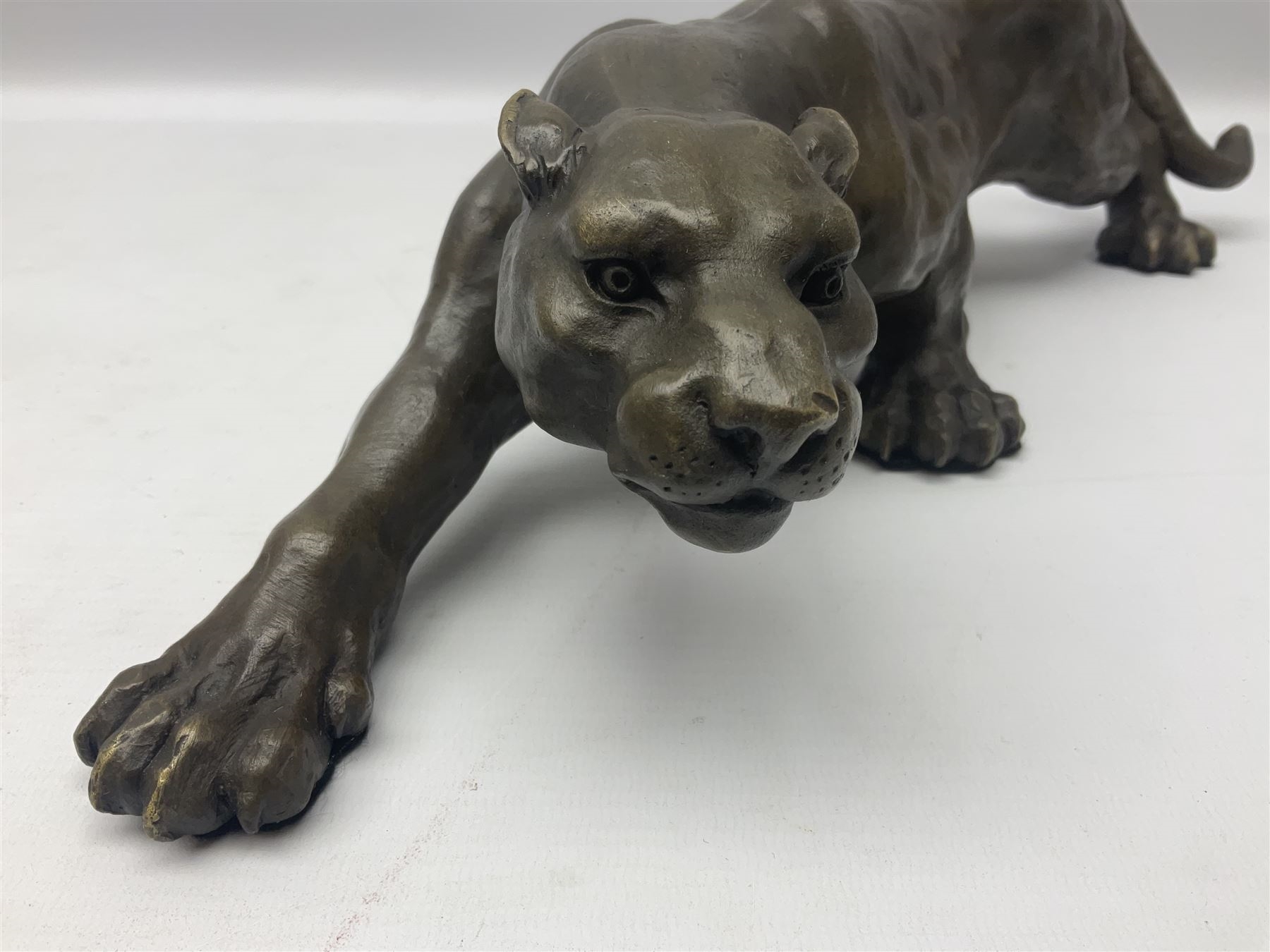 Miguel Fernando López (Milo) | cougar in crouching pose | MutualArt