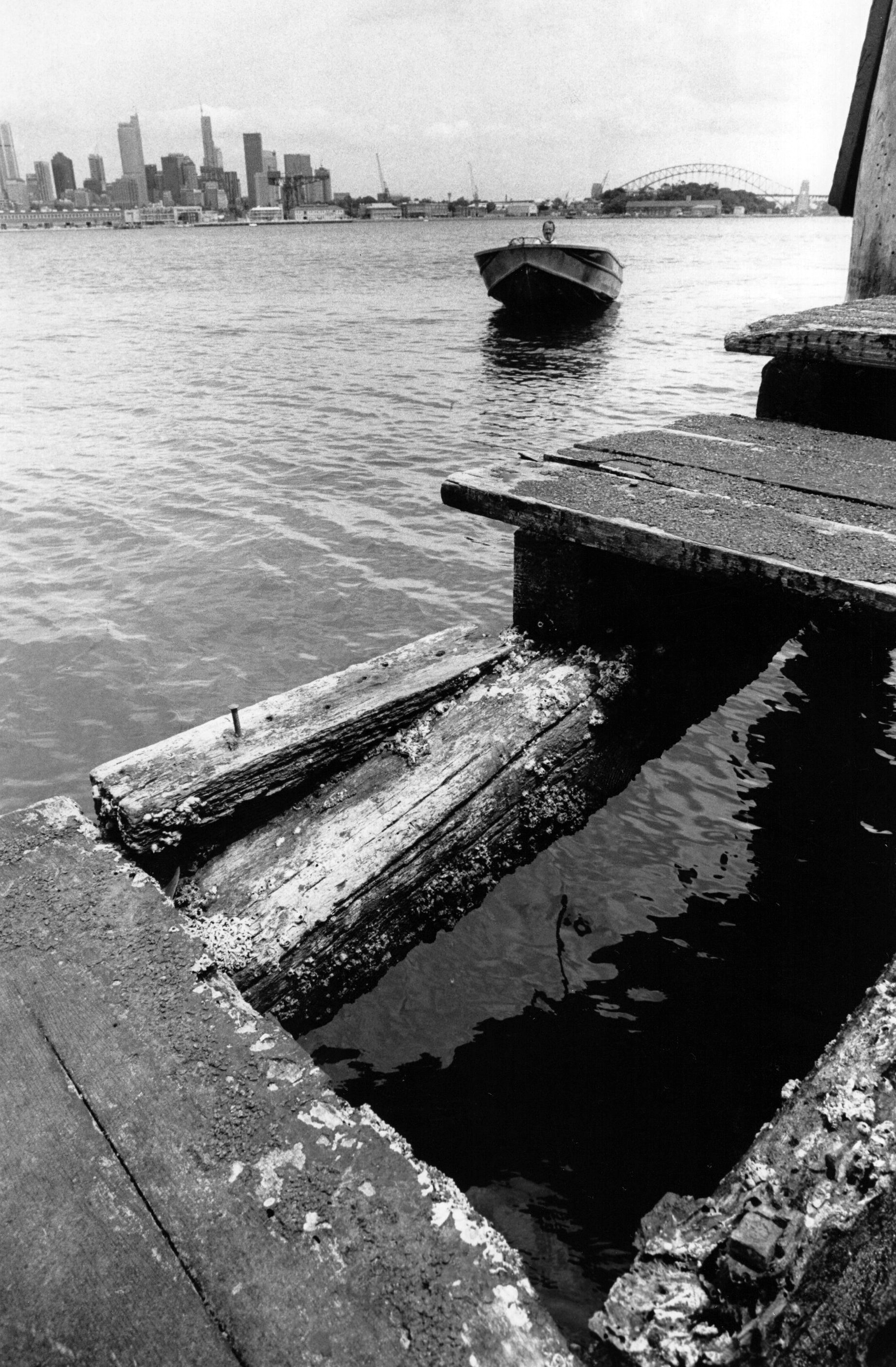Barry Chapman | Clark Island on Sydney Harbour (1980) | MutualArt