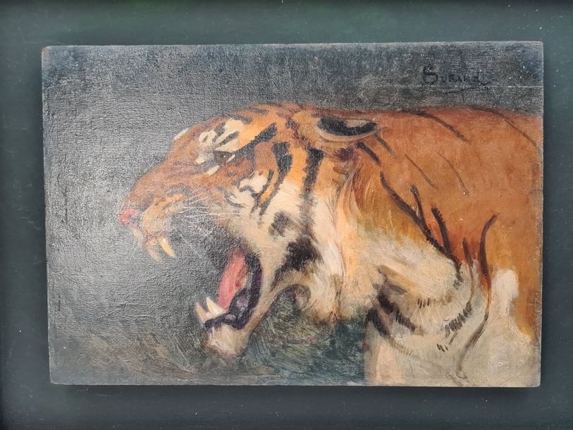 Gustave Surand | Profile of a roaring tiger | MutualArt