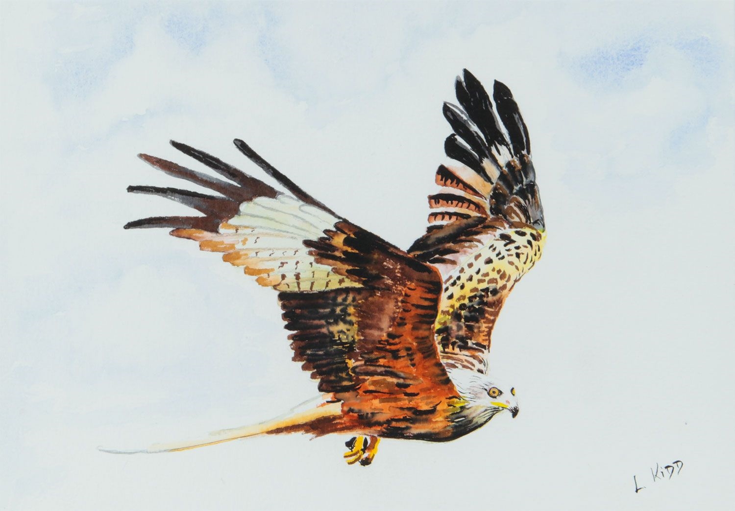 Lorraine Kidd | THE RED KITE | MutualArt