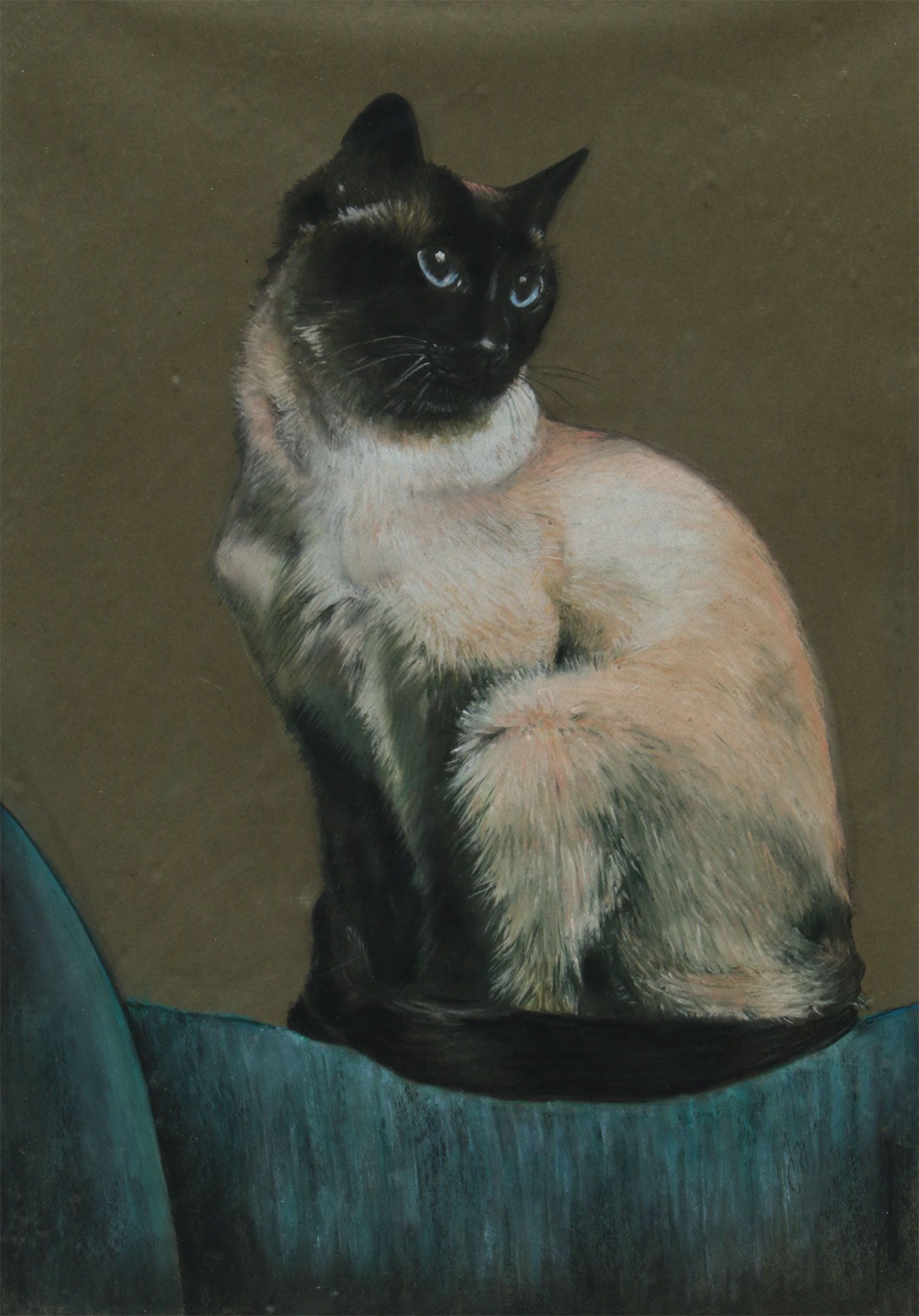 Joy Mary Clements | STUDY OF CAT | MutualArt