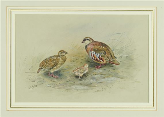 George Edward Lodge | Partridges | MutualArt