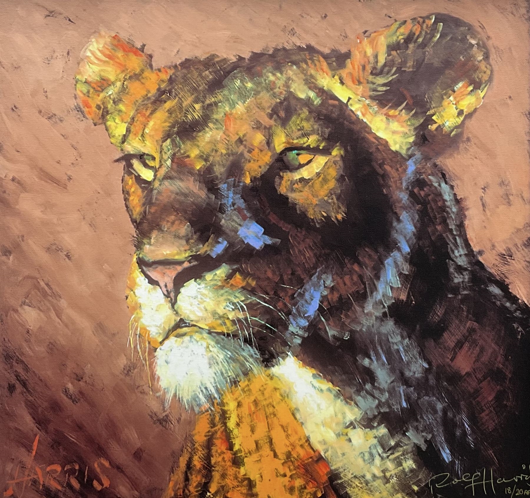 Rolf Harris | Lioness | MutualArt