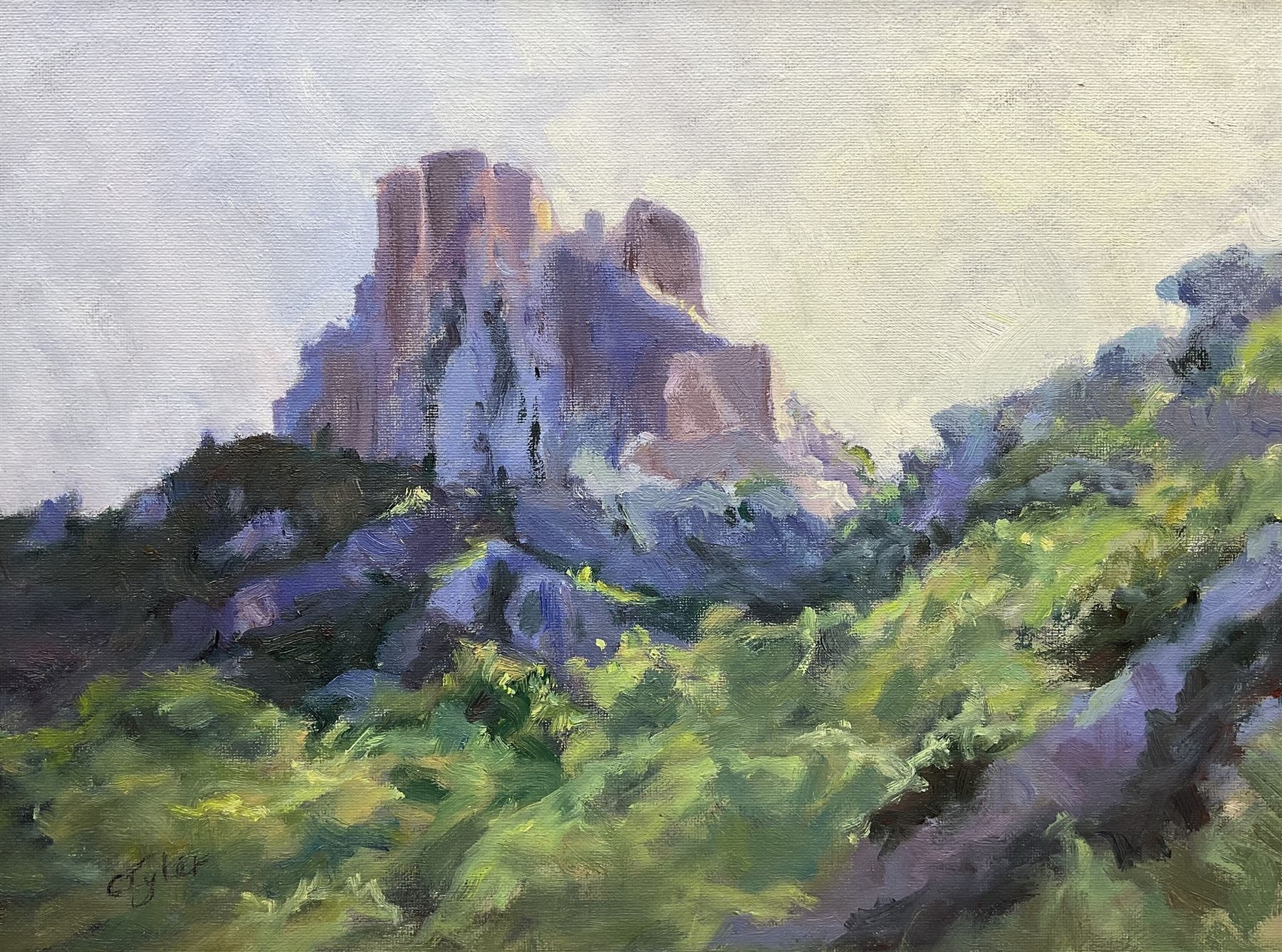 Catherine Tyler | ‘Cathar Castle Château de Queribus’ | MutualArt