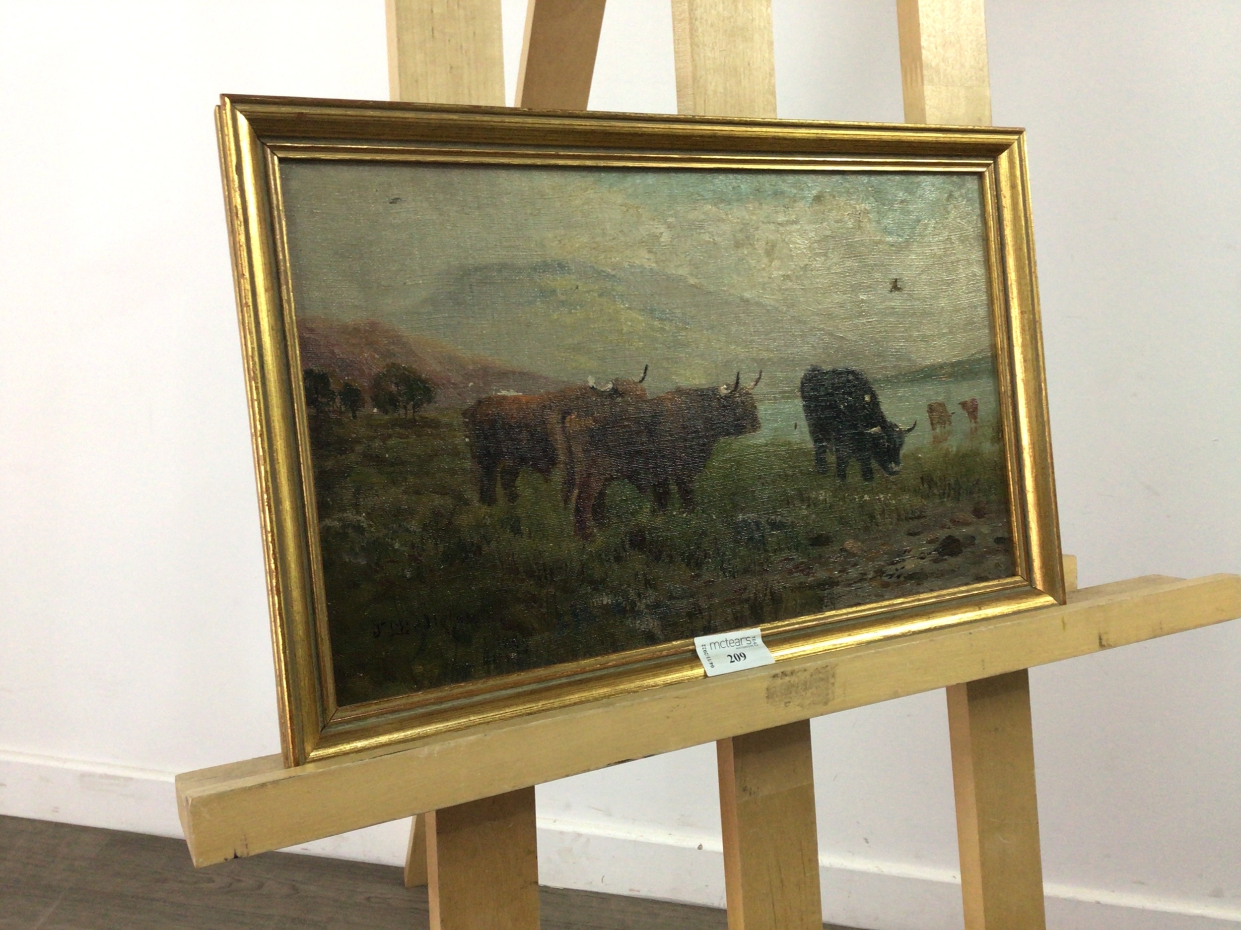 J. Middleton | AN OIL PAINTING OF HIGHLAND CATTLE BY J. MIDDLETON (1899 ...