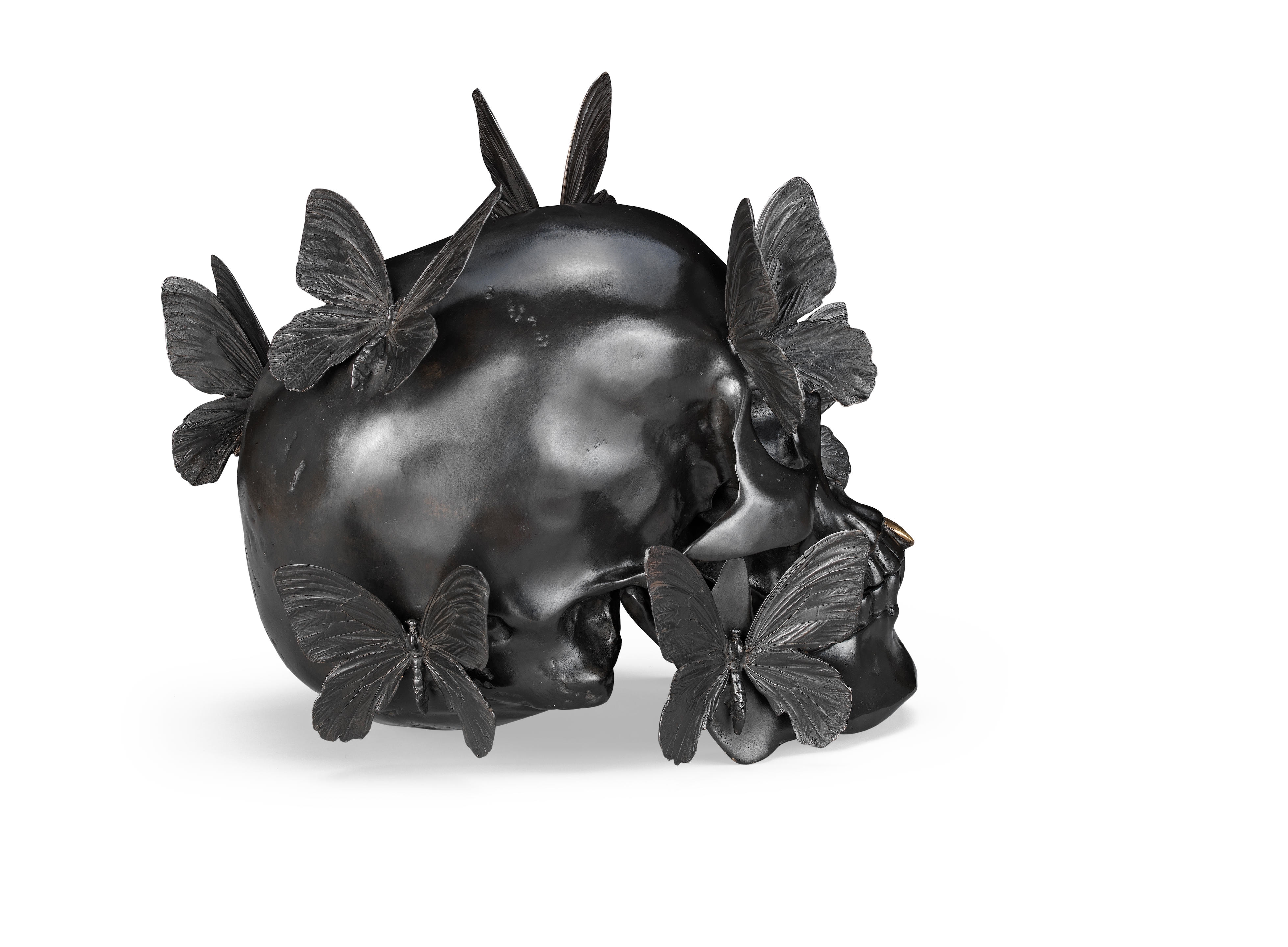 Philippe Pasqua | Vanité aux papillons (Circa 2013) | MutualArt