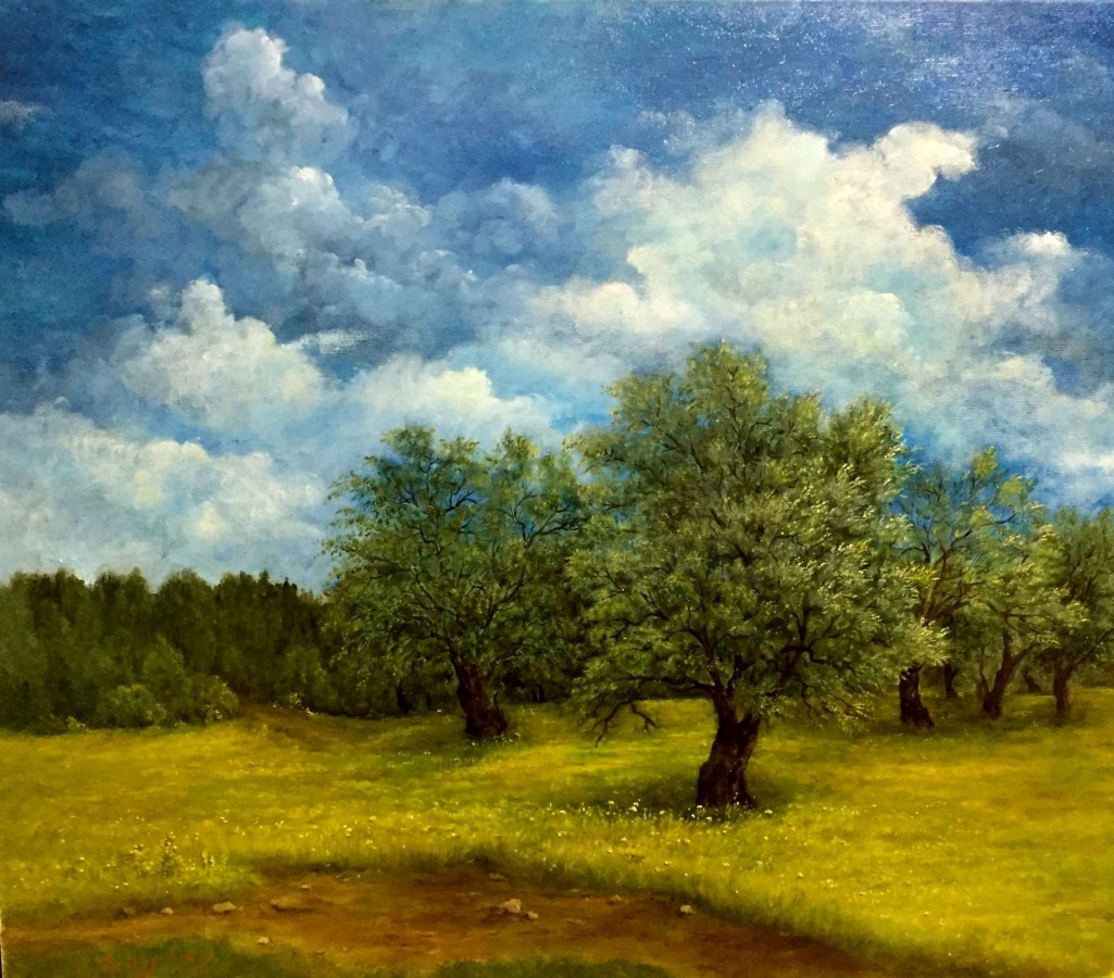 Nima Novik | Olive Trees (2010) | MutualArt