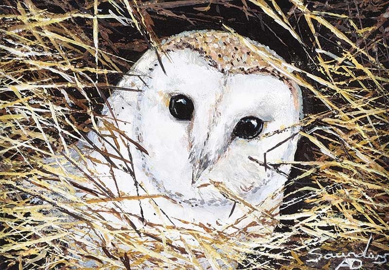 Andy Saunders | BARN OWL | MutualArt