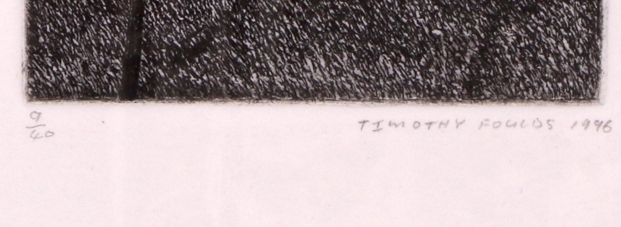 Timothy Foulds | VIEWS (1996) | MutualArt