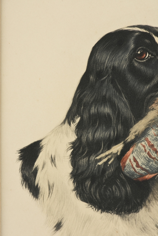 Boris Riab | Black and White Springer Spaniel | MutualArt