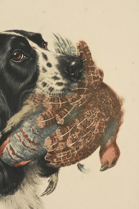 Boris Riab | Black and White Springer Spaniel | MutualArt