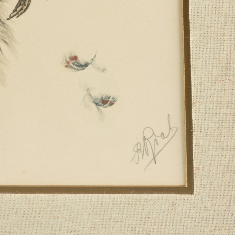 Boris Riab | Black and White Springer Spaniel | MutualArt