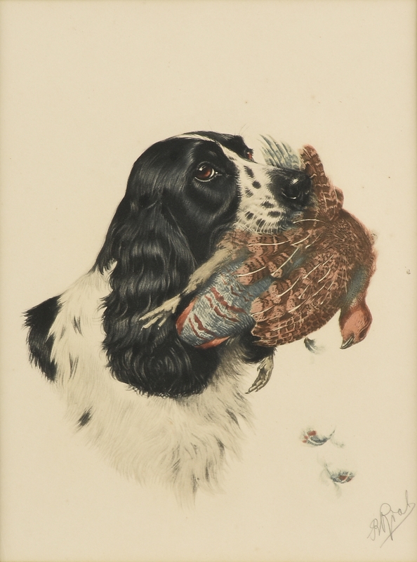 Boris Riab | Black and White Springer Spaniel | MutualArt