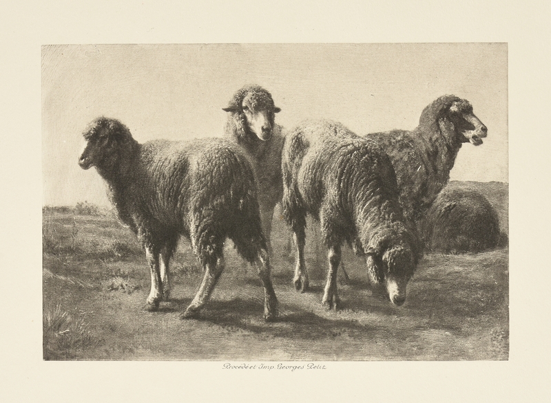 Rosa Bonheur | A GROUP OF SEVEN ENGRAVINGS | MutualArt