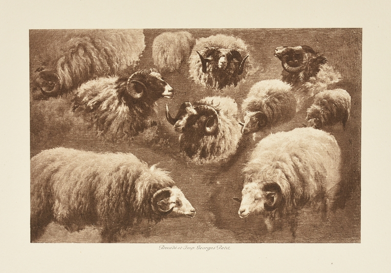 Rosa Bonheur | A GROUP OF SEVEN ENGRAVINGS | MutualArt
