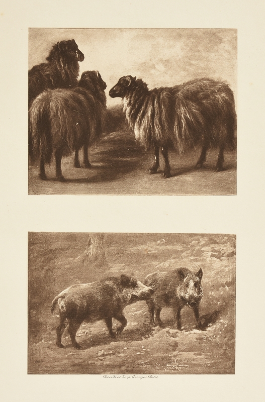 Rosa Bonheur | A GROUP OF SEVEN ENGRAVINGS | MutualArt