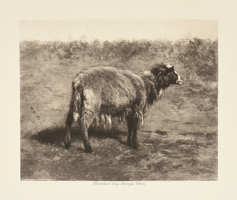 Rosa Bonheur | A GROUP OF SEVEN ENGRAVINGS | MutualArt