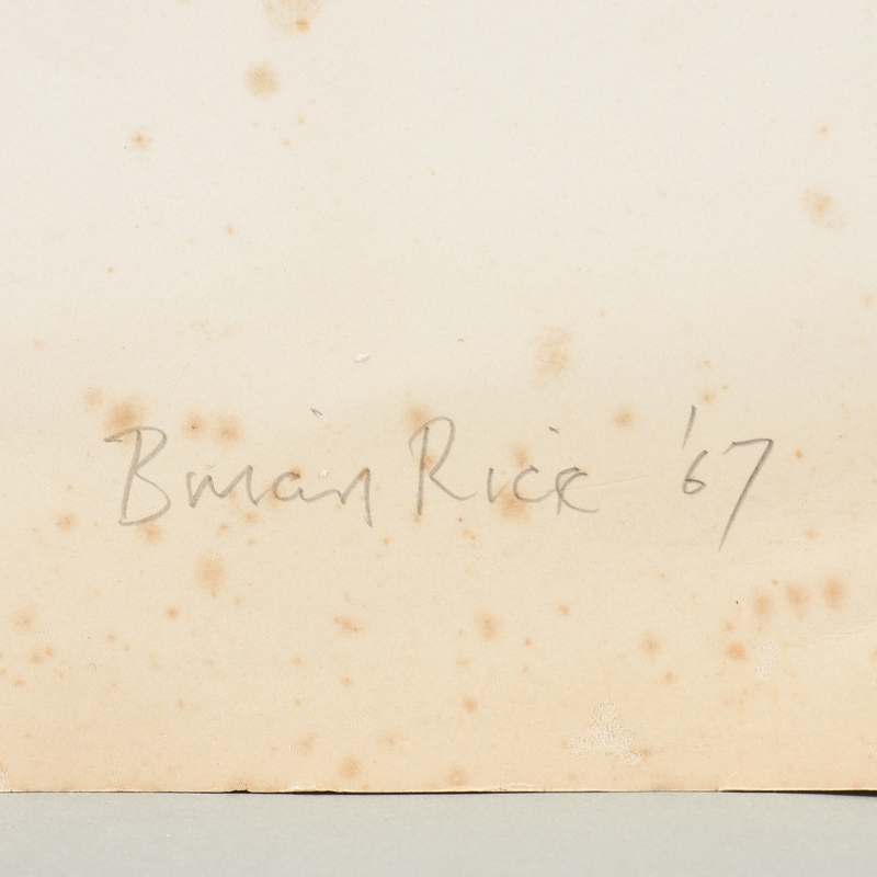 Brian Rice | The Death of Op Art (1967) | MutualArt