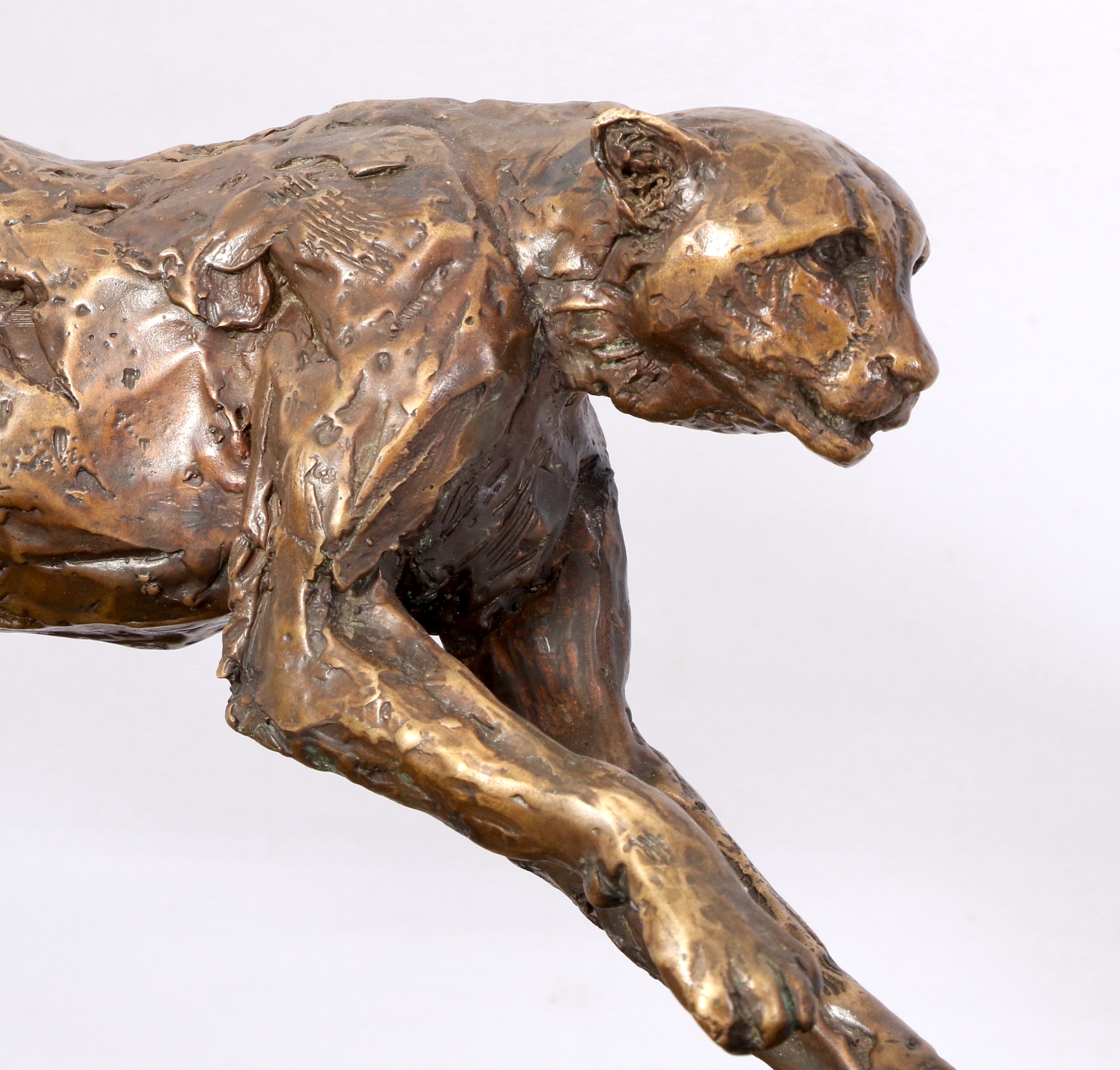 Sarah Richards | RUNNING CHEETAH (2015) | MutualArt