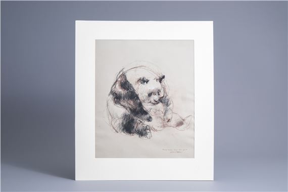 Victor Ambrus | 'Female Panda | MutualArt