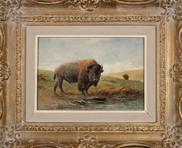Frederick Arthur Verner | Buffalo Bull (1910) | MutualArt