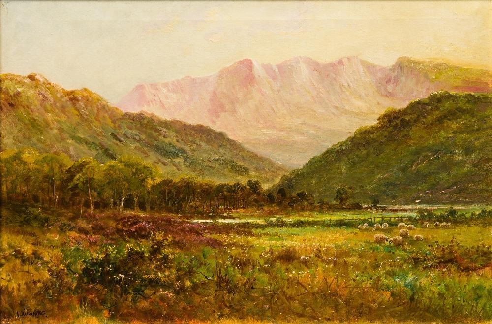 Daniel Sherrin | pain | MutualArt