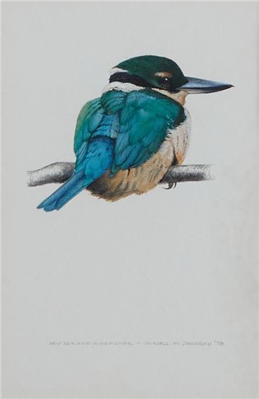 Russell Jackson | New Zealand Kingfisher (1978) | MutualArt