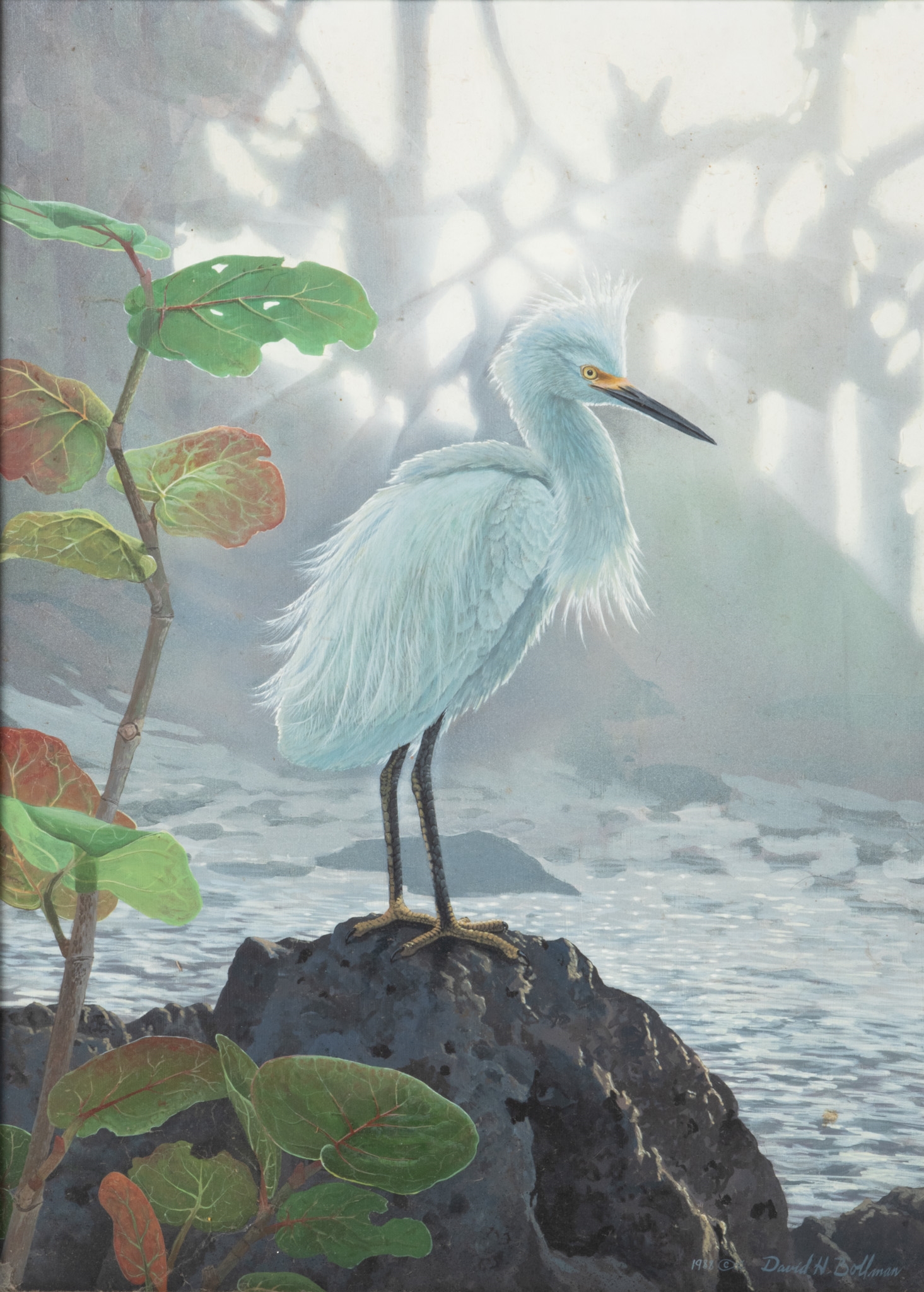 David H. Bollman | Heron (1988) | MutualArt