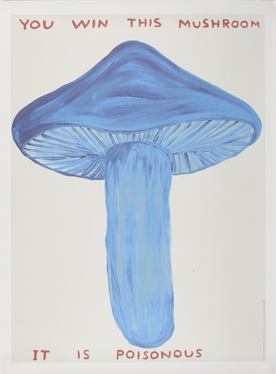 David Shrigley | 2020 (2020) | MutualArt