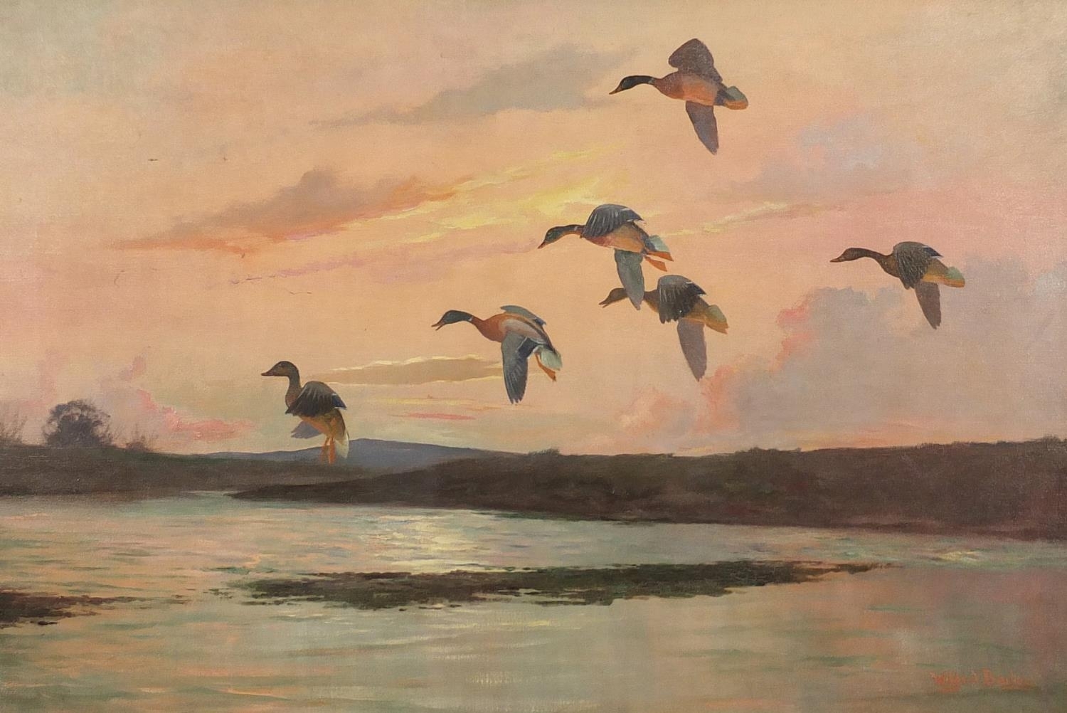 Wilfred Bailey | Wilfred Bailey - Ducks in flight over water | MutualArt