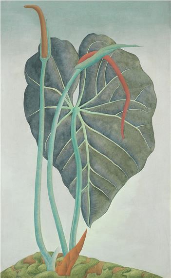 Ithell Colquhoun | Anthurium (1936) | MutualArt