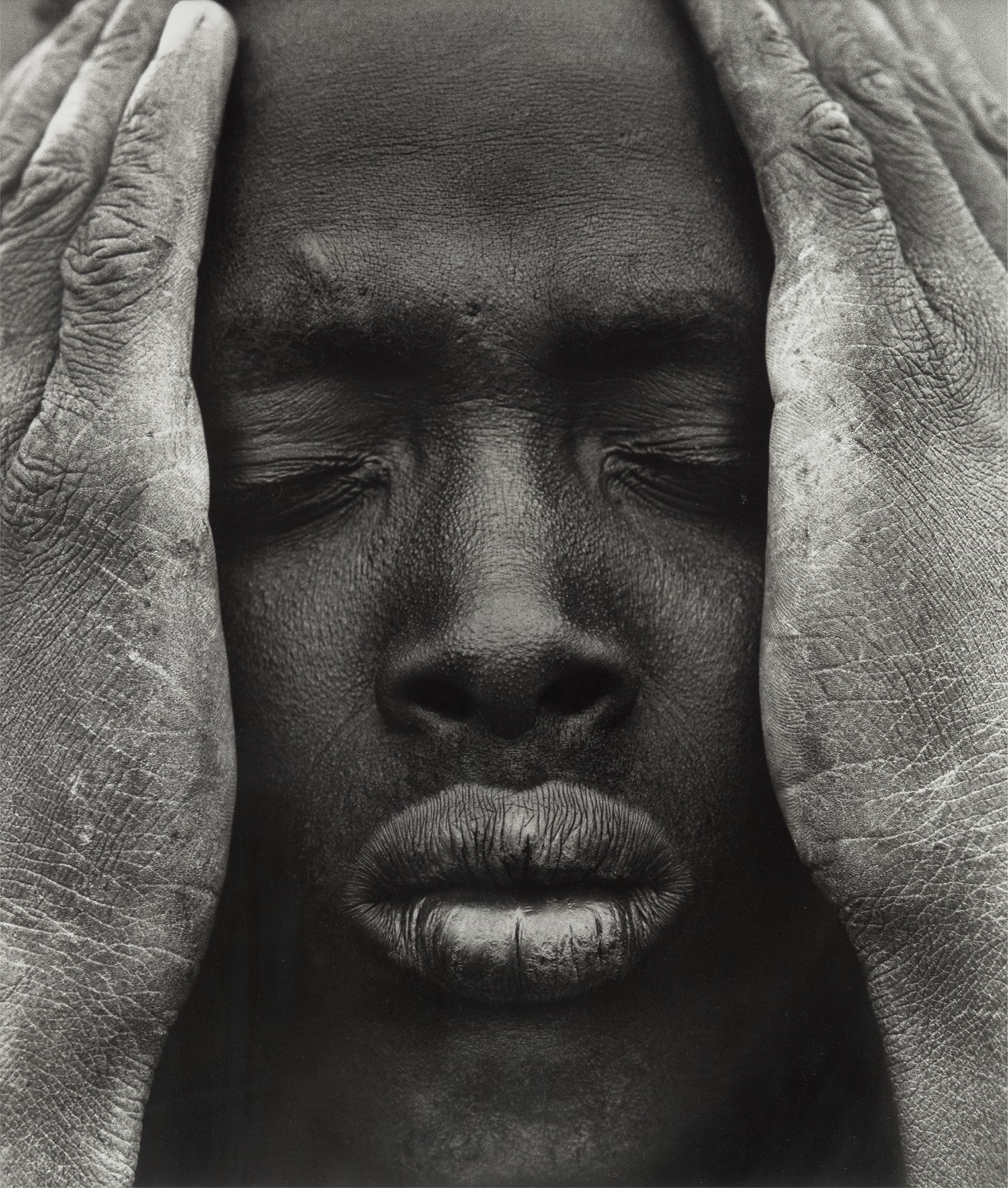 Herb Ritts | Tina Turner, Los Angeles (1993) | MutualArt