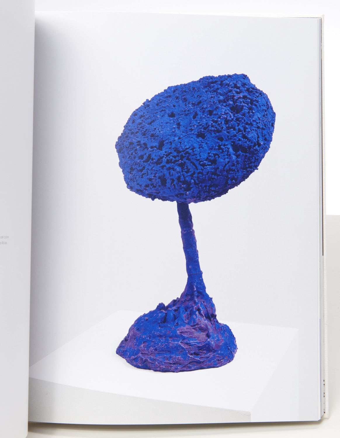 Lucio Fontana | Michael Rosenfeld Gallery (2006) | MutualArt