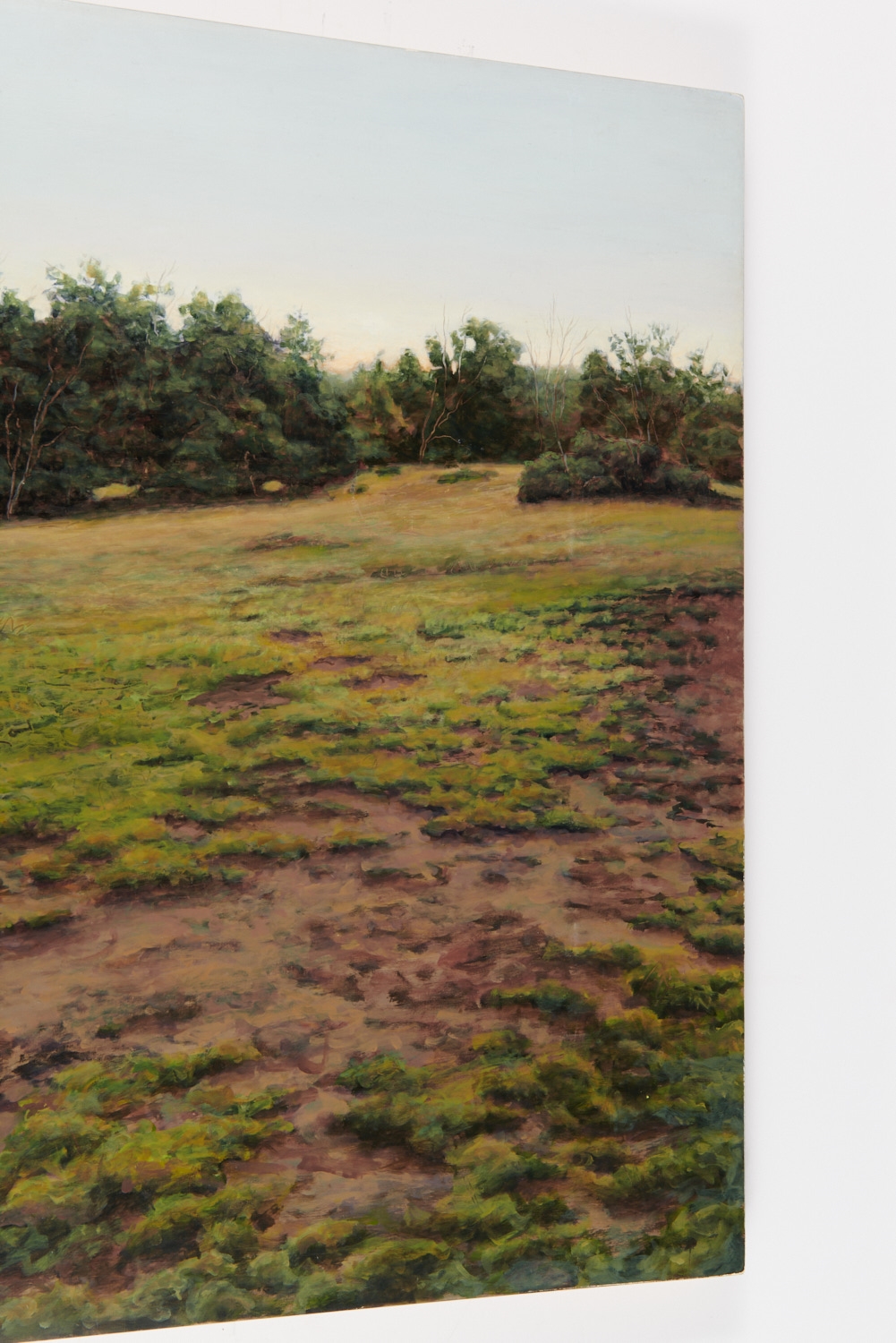 Doug Martin | painting | MutualArt