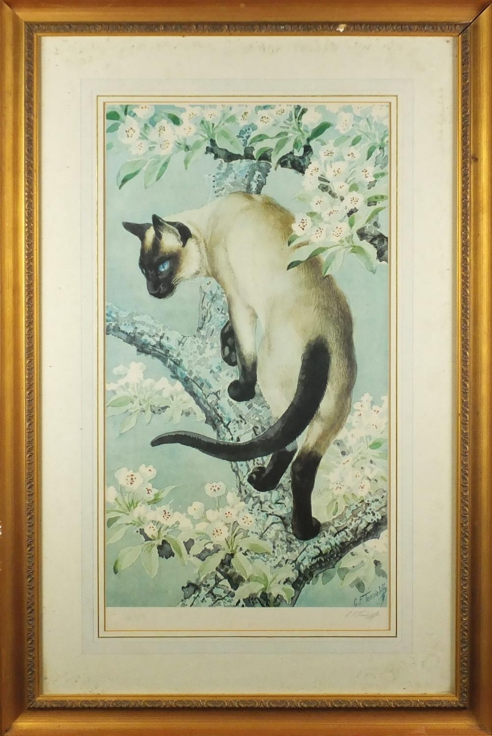 Charles Frederick Tunnicliffe | Charles Frederick Tunnicliffe - Siamese ...