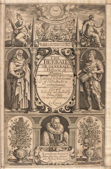 John Gerard | The herball or generall historie of plantes (1636 ...