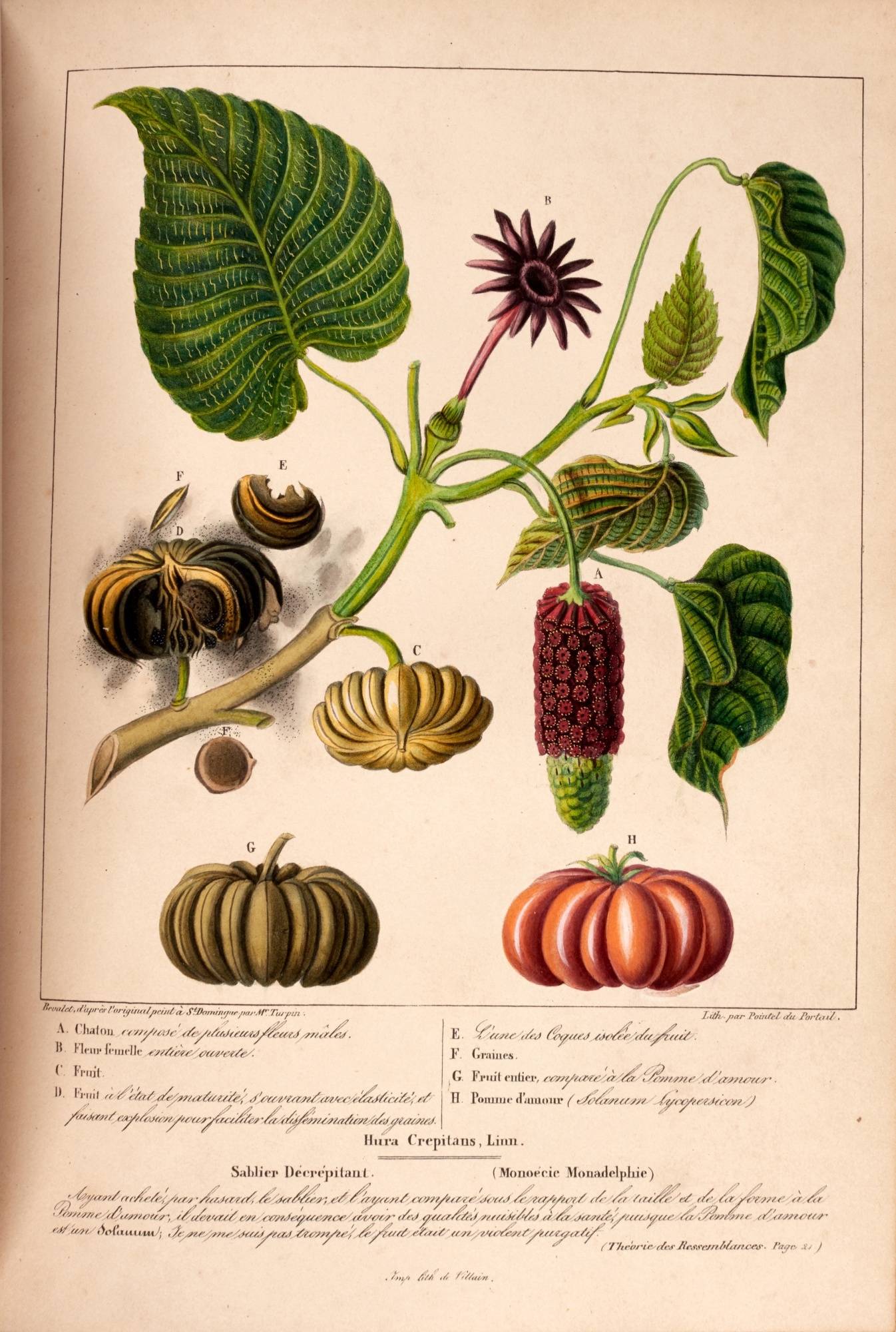 Pierre-Jean-François Turpin | Essai d'une iconographie élémentaire et ...