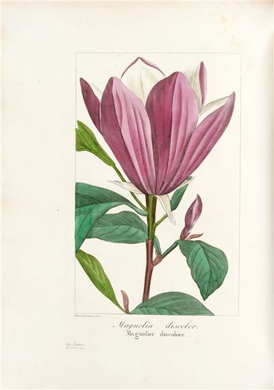 Pierre Auguste Joseph Drapiez | 3 Artworks at Auction | MutualArt