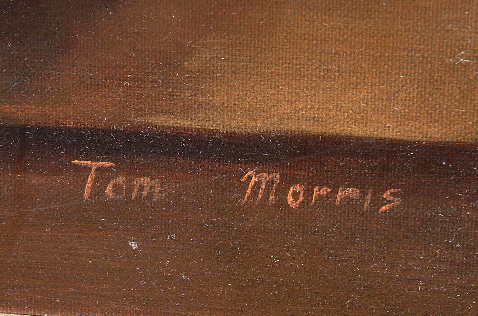 Tom Morris | cat painting | MutualArt