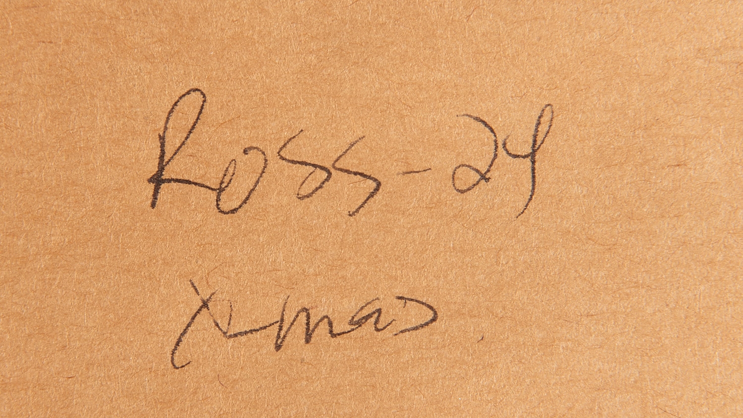 Alexander Sharpe Ross | medical illustration painting | MutualArt