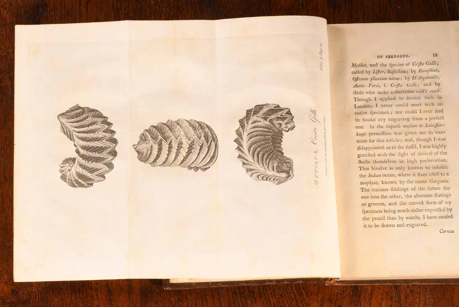 Gilbert White | Comprising the Natural History of Selborne; the ...